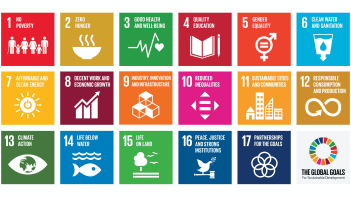 The Global Goals – The New Division