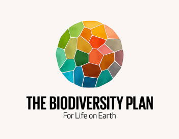 The Biodiversity Plan – The New Division